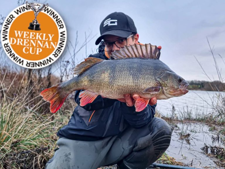 Alexandru 5lb 6oz Perch | Drennan International