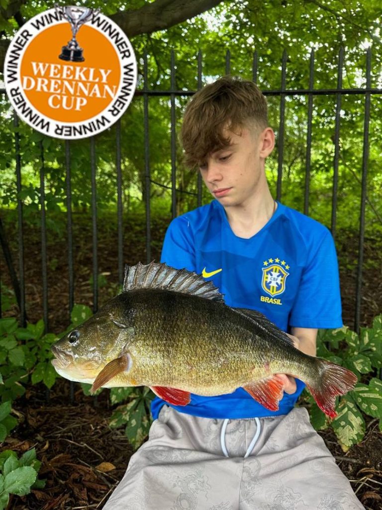 George Lovell 5lb 11oz Perch | Drennan International